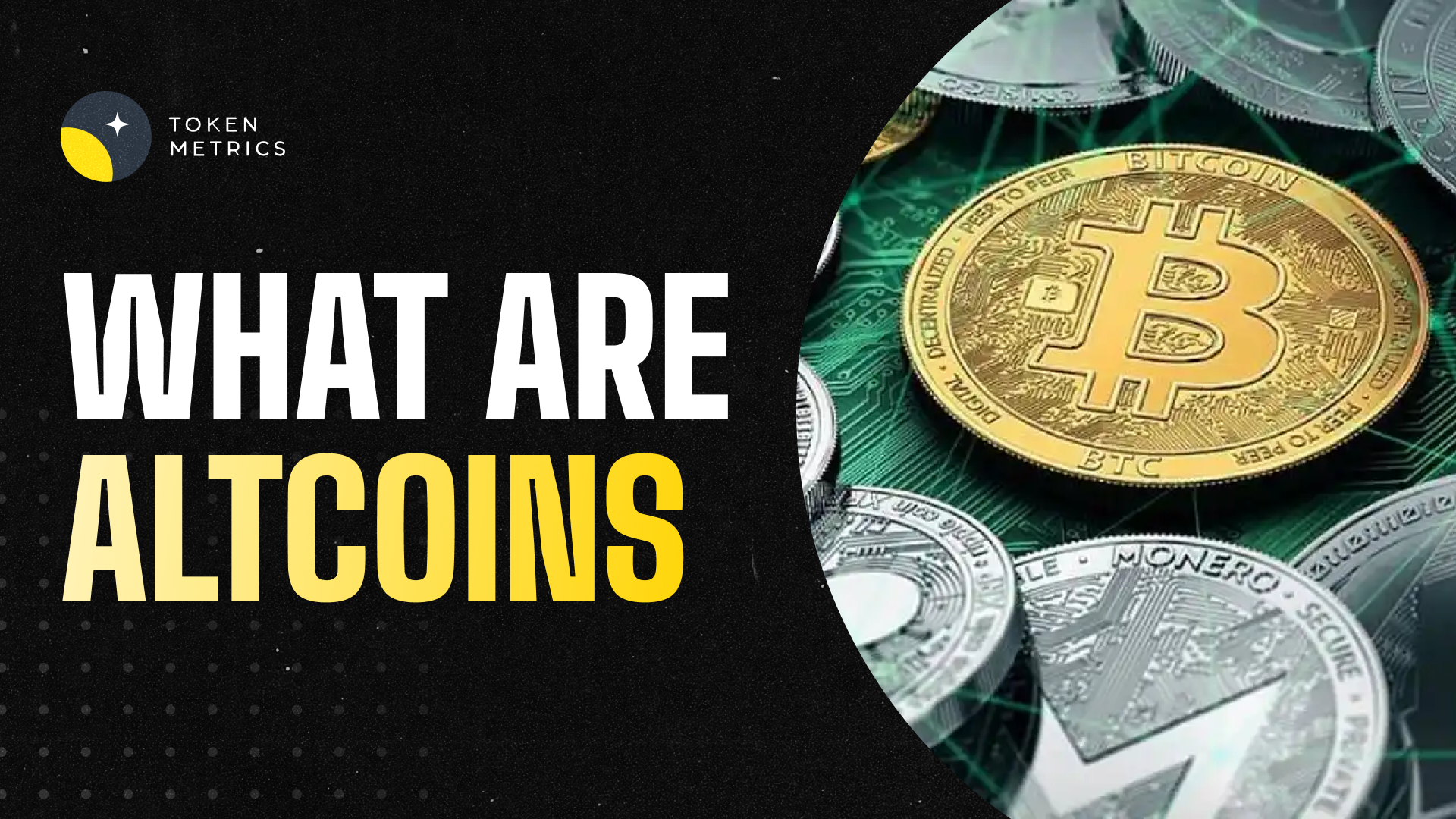 Best Crypto Exchanges for Altcoins: A Complete Guide to Alternative Cryptocurrencies in 2025